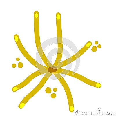 Microalgae. Aquatic Organisms And Bacteria. Cartoon Vector ...
