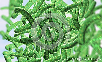 Microbacteria And Bacterial Organisms.biology And Science Background ...