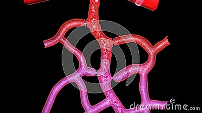 MICROCIRCULATION PRECAPILLARY SPHINCTER CONTRACTED Stock Footage ...