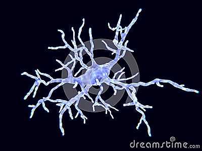 Microglial Cell In The Resting Form Stock Image | CartoonDealer.com ...