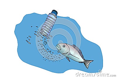 Microplastic Particles In The Water And Inside Fish. Impact Of ...