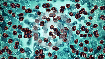 Microscopic Plate of Bacteria Multiplying Themselves 3d Rendering Stock ...
