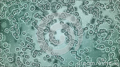 Microscopic Plate of Bacteria Multiplying Themselves 4K Stock Footage ...