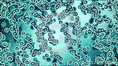 Microscopic Plate of Bacteria Multiplying Themselves 4K Stock Video ...