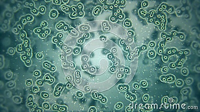 Microscopic Plate of Bacteria Multiplying Themselves 4K Stock Video ...