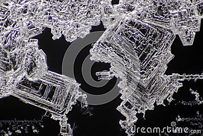 Microscopic View Of Sodium Chloride Crystals Stock Photography ...