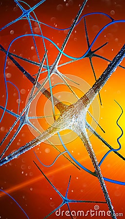 Microscopic View Of The Synapses. Brain Connections. Neurons And ...