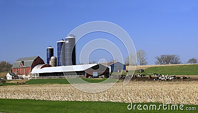Midwest USA Dairy Farm Royalty Free Stock Images - Image: 8262119
