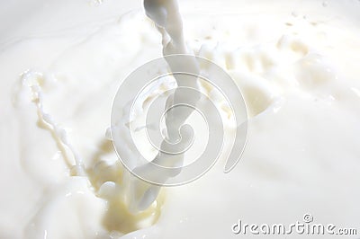 Milk Splash stock photo. Image of milk, detail, creamy, breakfast - 39986
