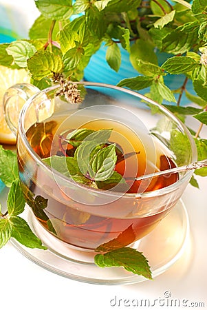 Mint tea stock image. Image of herbal, dessert, health - 20046975