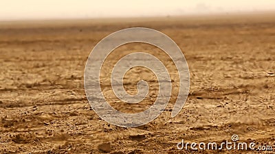 Mirage in the Sand desert stock video. Video of sahara - 75655387