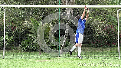 Missed Soccer Goal stock video. Video of miss, goaltender - 51265583
