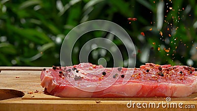 Mixed Pepper and Spices are Falling on a Raw Meat Stock Footage - Video ...