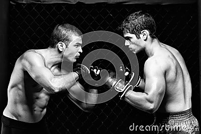 MMA Royalty Free Stock Images - Image: 16374999