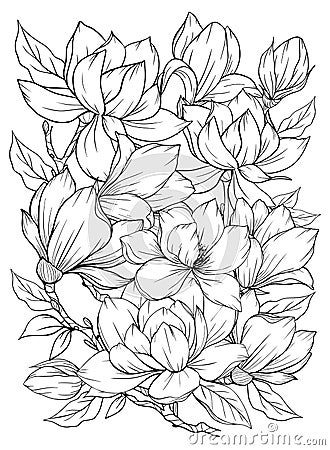 Coloring Page With Magnolia And Leaves. Vector Page For Coloring ...