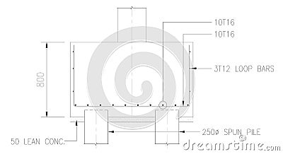 Plan And Sections Of Pile Cap Design Drawing Shown Technical Drawing ...