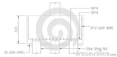 Plan And Sections Of Pile Cap Design Drawing Shown Technical Drawing ...