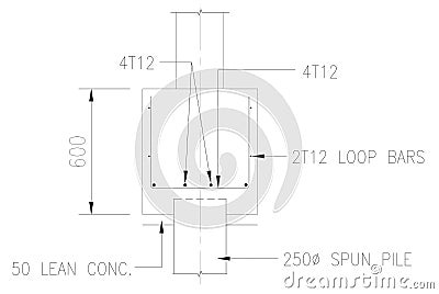 Plan And Sections Of Pile Cap Design Drawing Shown Technical Drawing ...