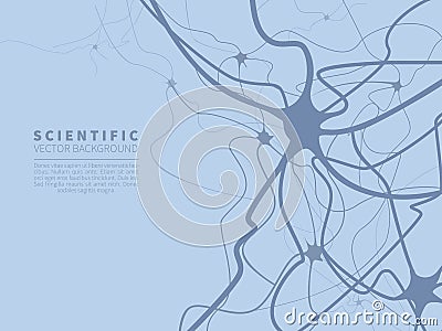 Model Of Neural System Vector Illustration | CartoonDealer.com #93491076