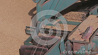 Modern Grain Loader and Separation Agriculture Machinery Vehicle ...