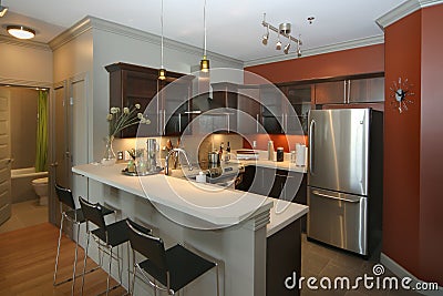Modern Kitchen With Bar Area Stock Photo - Image: 4324810