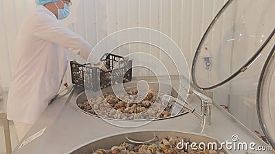 Extraction of Mucin from Snails at a Snail Farm. Extraction of Mucin ...