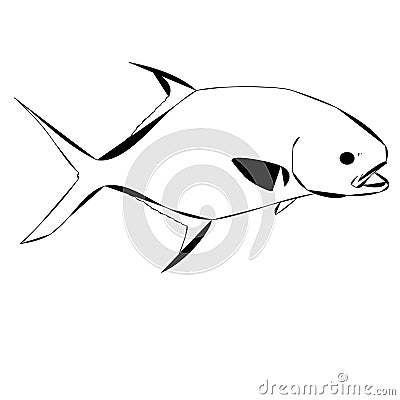 Modern Outline Of A Permit Fish Cartoon Vector | CartoonDealer.com ...