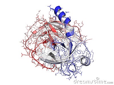 Molécula De La Enzima De La Tripsina, Estructura Química. Imagenes de ...