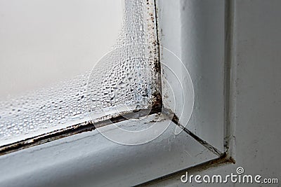 Mold Fungus And Moist On Window Frame And On Glass Stock Photo ...