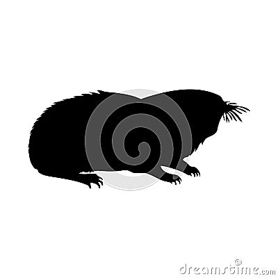 Mole-Rat Silhouette Vector Illustration | CartoonDealer.com #214080820