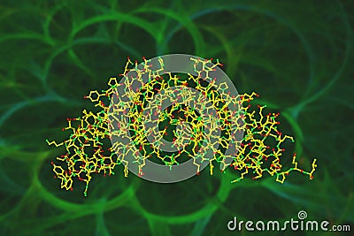 Molecular Structure Of The N-terminal Domain Of Carcinoembryonic ...