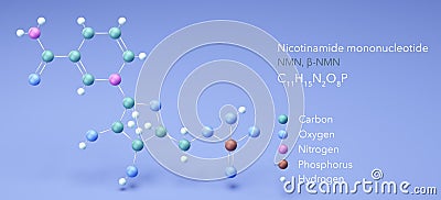 Molecule Nicotinamide Mononucleotide, Molecular Structures, NMN, Beta ...