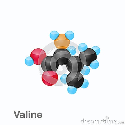 Molecule Of Valine, Val, An Amino Acid Used In The Biosynthesis Of ...
