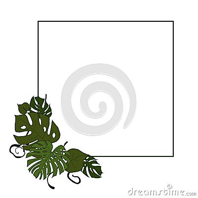 Monstera Leaves Frame Vector Illustration | CartoonDealer.com #231560698