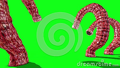 3 Monstrous Alien Worms Attack Back Green Screen 3D Rendering Animation ...