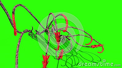 Monstrous Hooked Tentacles Back Green Screen 3D Rendering Animation ...