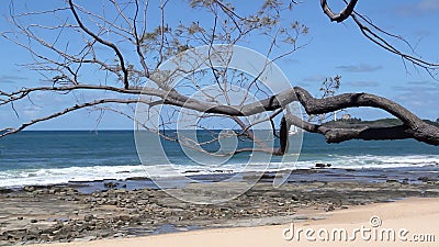 Mooloolaba 11 stock video. Video of australia, branches - 36935686