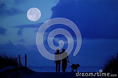 Moonlight Walk Royalty-Free Stock Photography | CartoonDealer.com #586181