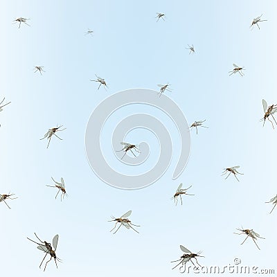 Mosquitos Seamless Border. Royalty-Free Stock Photo | CartoonDealer.com ...