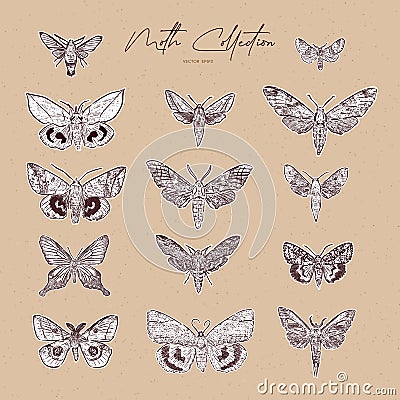 Moth Collection, Hand Draw Sketch Vector | CartoonDealer.com #157876891