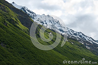 Mountain Vegetation Royalty Free Stock Photos - Image: 19968698