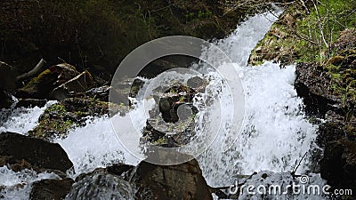 Mountain Waterfall with Rocks Flows Down from Forest Cliff. Beautiful ...
