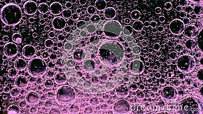Movement of Bubbles in Liquid. Pink Color. Stock Footage - Video of ...