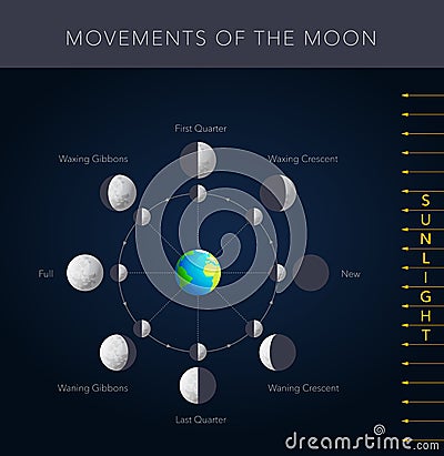 Movements Of The Moon Vector Stock Vector - Image: 56111872