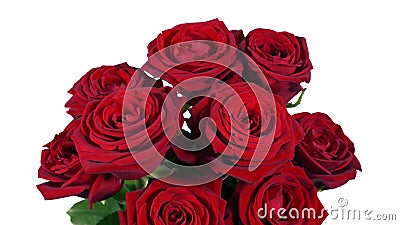 Passing Large Bunch of Roses Isolated on White Stock Footage - Video of ...