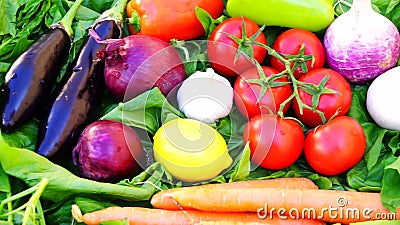 Moving Different Vegetables and Citrus Fruits on Green Grass Stock ...