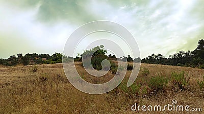 Moving between Olive Trees and Fig Tree in Beautiful Moroccan Mountain ...