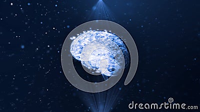 MRI of the Brain. Animated Three-dimensional Model of the Brain in the ...