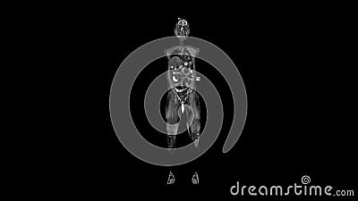 MRI Scan of the Full Body, Diagnosis of Respiratory Diseases by MRI ...