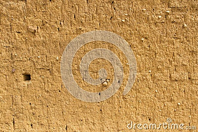 Mud Adobe Wall Texture Royalty-Free Stock Photography | CartoonDealer ...